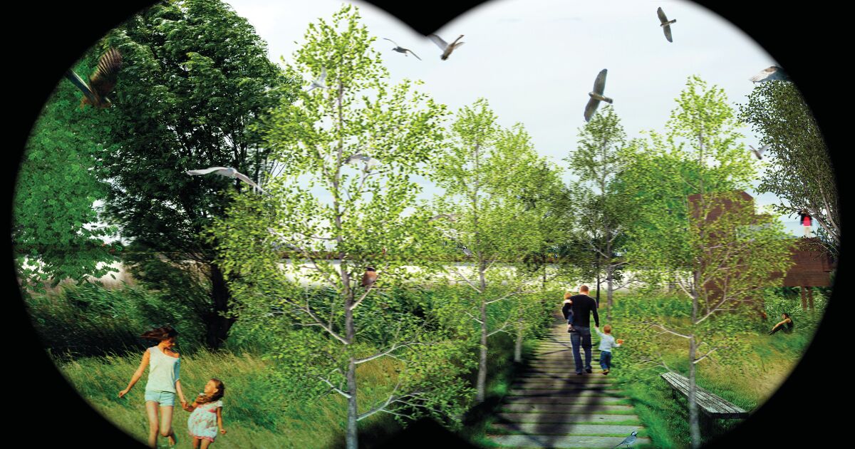 Parcul Natural Văcărești
