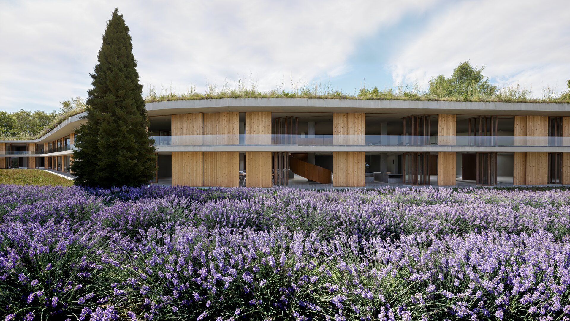 Domaine les Ormes. Revitalizarea țesutului rural prin ateliere de ...